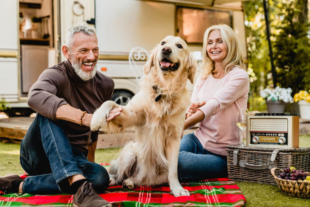 Essential Tips for Caring for Senior Large Dogs in 2024 – Addiction Pet ...