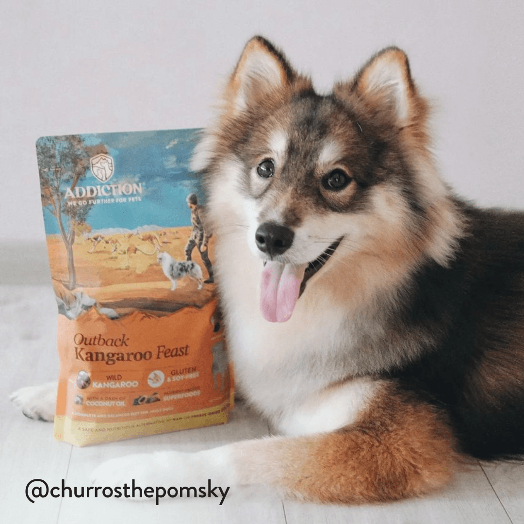 Addiction Outback Kangaroo Feast Raw Alternative Dog Food – Addiction ...