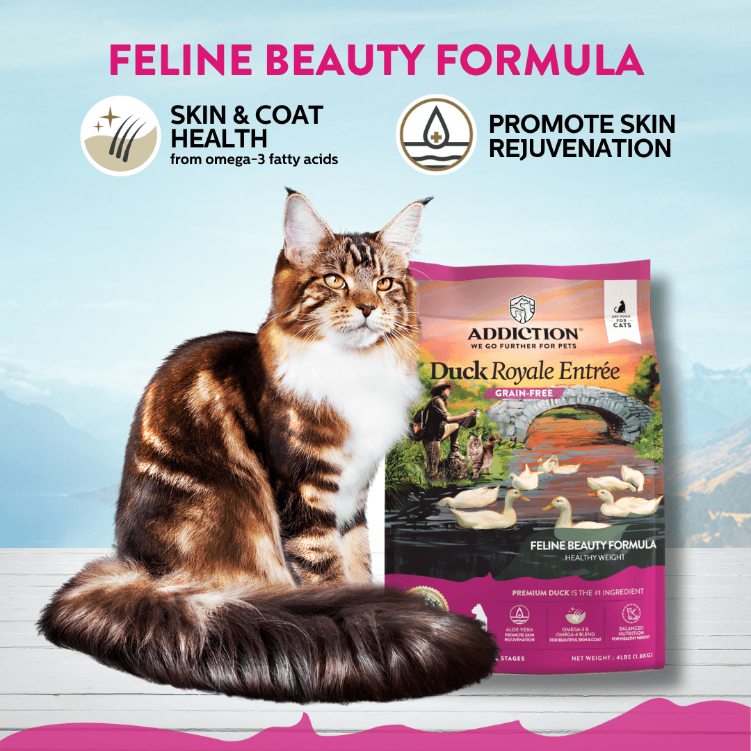 Addiction Duck Royale Dry Cat Food – Addiction Pet Foods USA