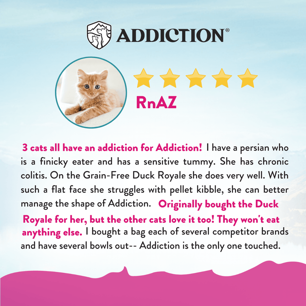 Addiction Duck Royale Dry Cat Food – Addiction Pet Foods USA