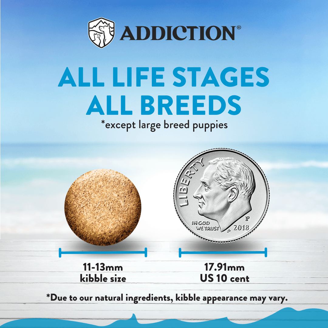 Addiction Salmon Bleu Dry Dog Food – Addiction Pet Foods USA