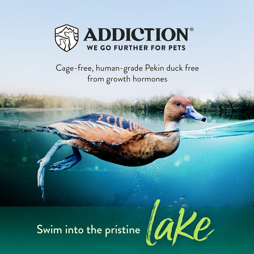 Addiction Duck Royale Dry Cat Food – Addiction Pet Foods